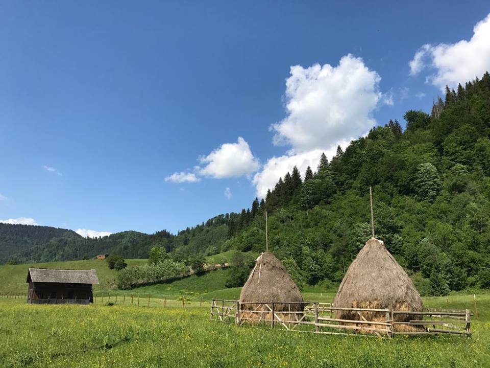 Barajul Pecineagu - Odaia cu povesti Barajul Pecineagu