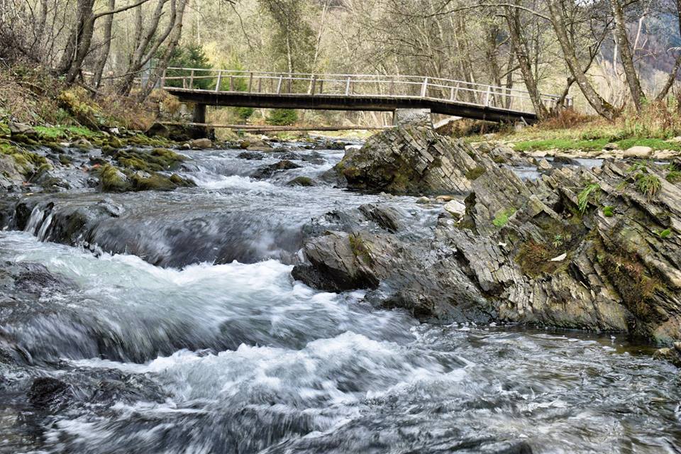 Asemenea unui rau - Odaia cu povesti Asemenea unui rau