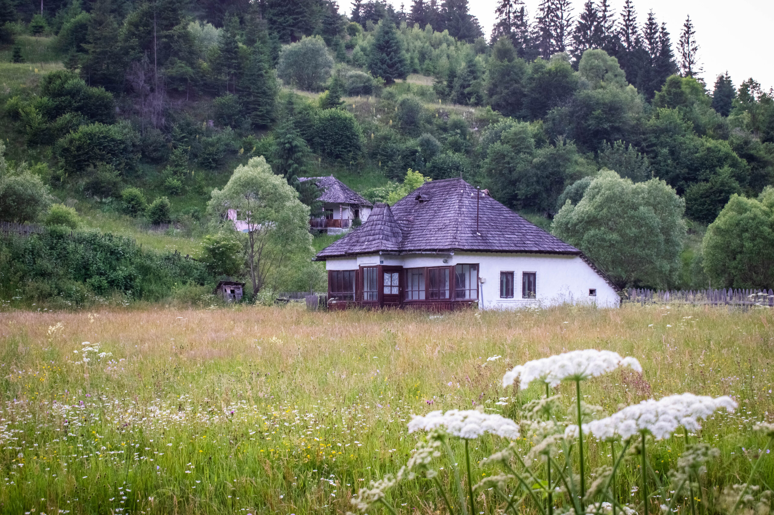 La pas prin Satic, comuna Rucar - Odaia cu povesti